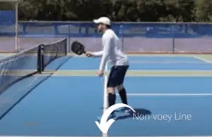 What is a Fault in Pickleball? Types & how to avoid them?